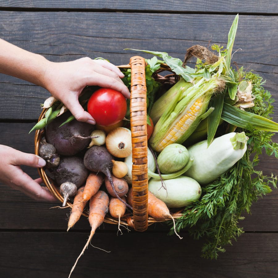 Sauna in Germany: Our ultimative Guide - funkyGERMANY