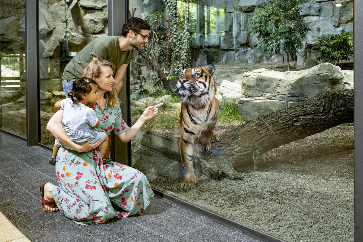 Zoos in Germany: Animal Encounters - funkyGERMANY