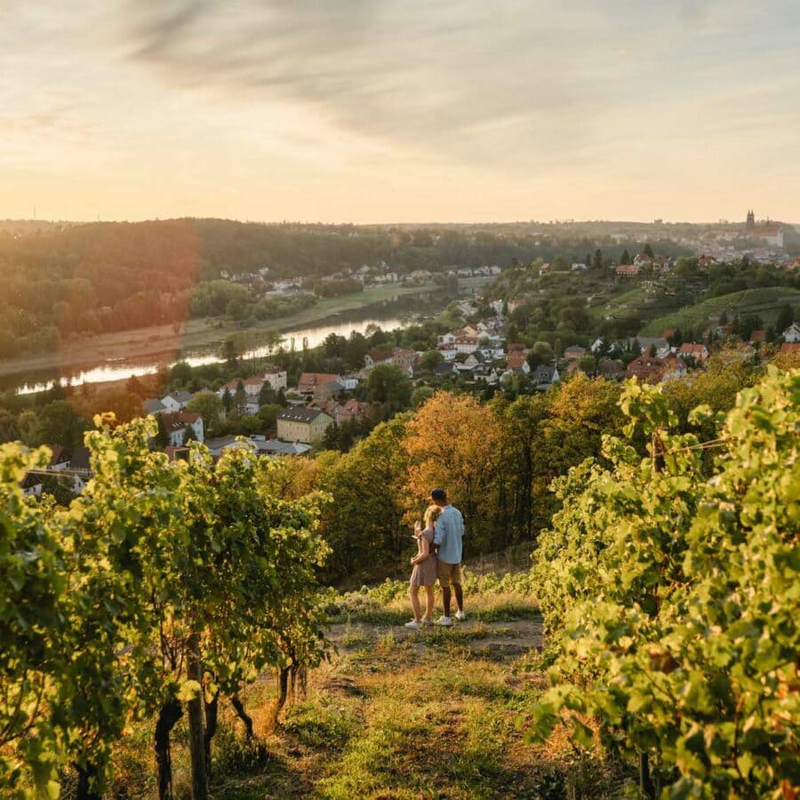 Ab in die Natur: tolle Tiny Houses, Baumhäuser und Cabins - funkyGERMANY