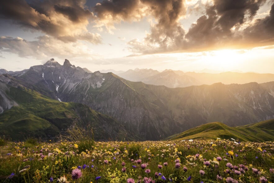 9 Must-Do Trips in Germany this March - funkyGERMANY